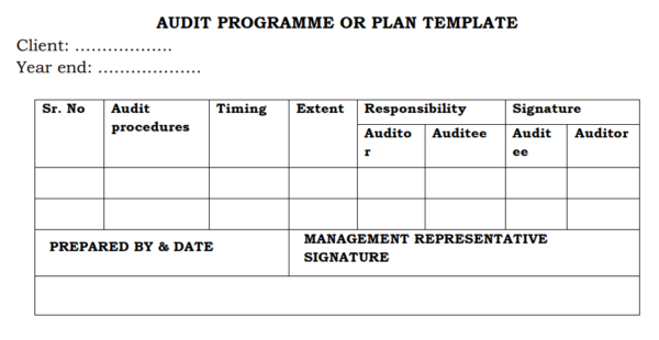 Audit Planning - KNEC notes and Revision materials